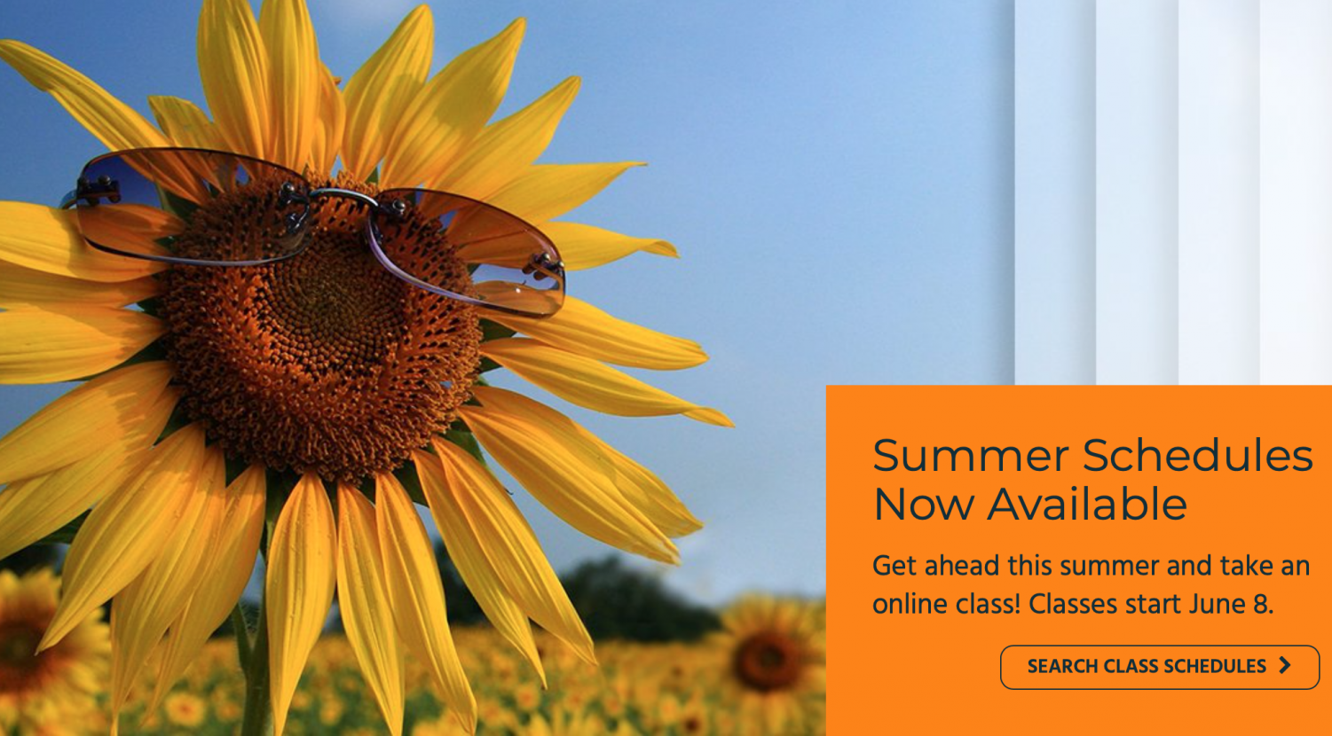 What to know about upcoming online summer semester – The Connection